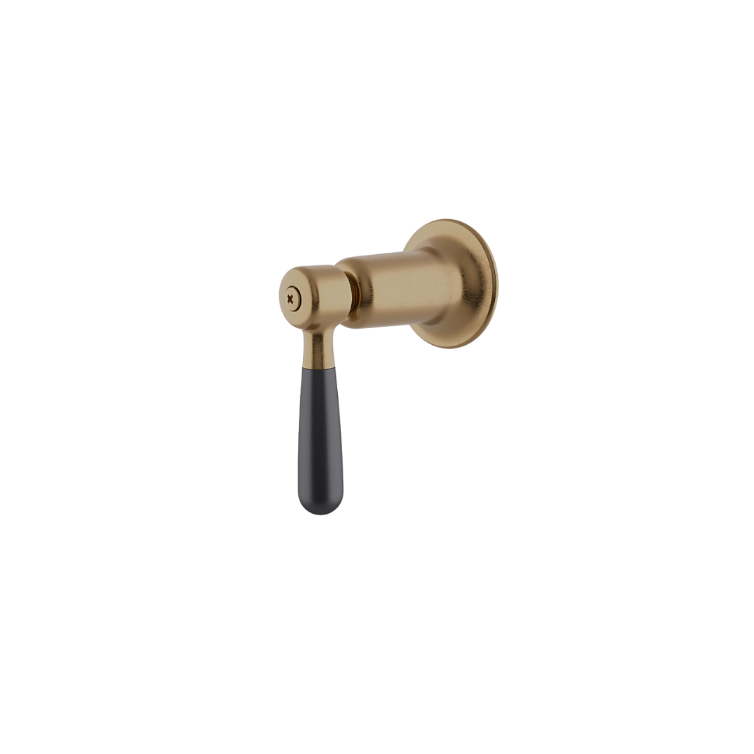 Waterworks Riverun Two-Tone Lever Volume Control Handle (Dark Brass ...