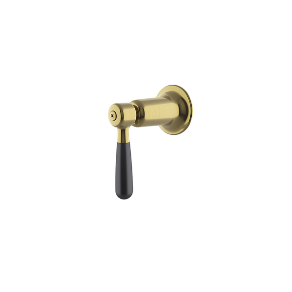 Waterworks Riverun Two-Tone Lever Volume Control Handle (Burnished Brass)